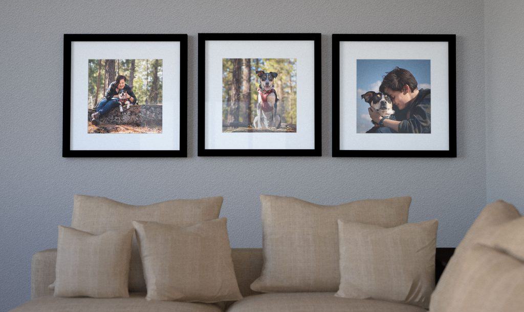 Step 3: How to turn your dog photos into amazing home decor