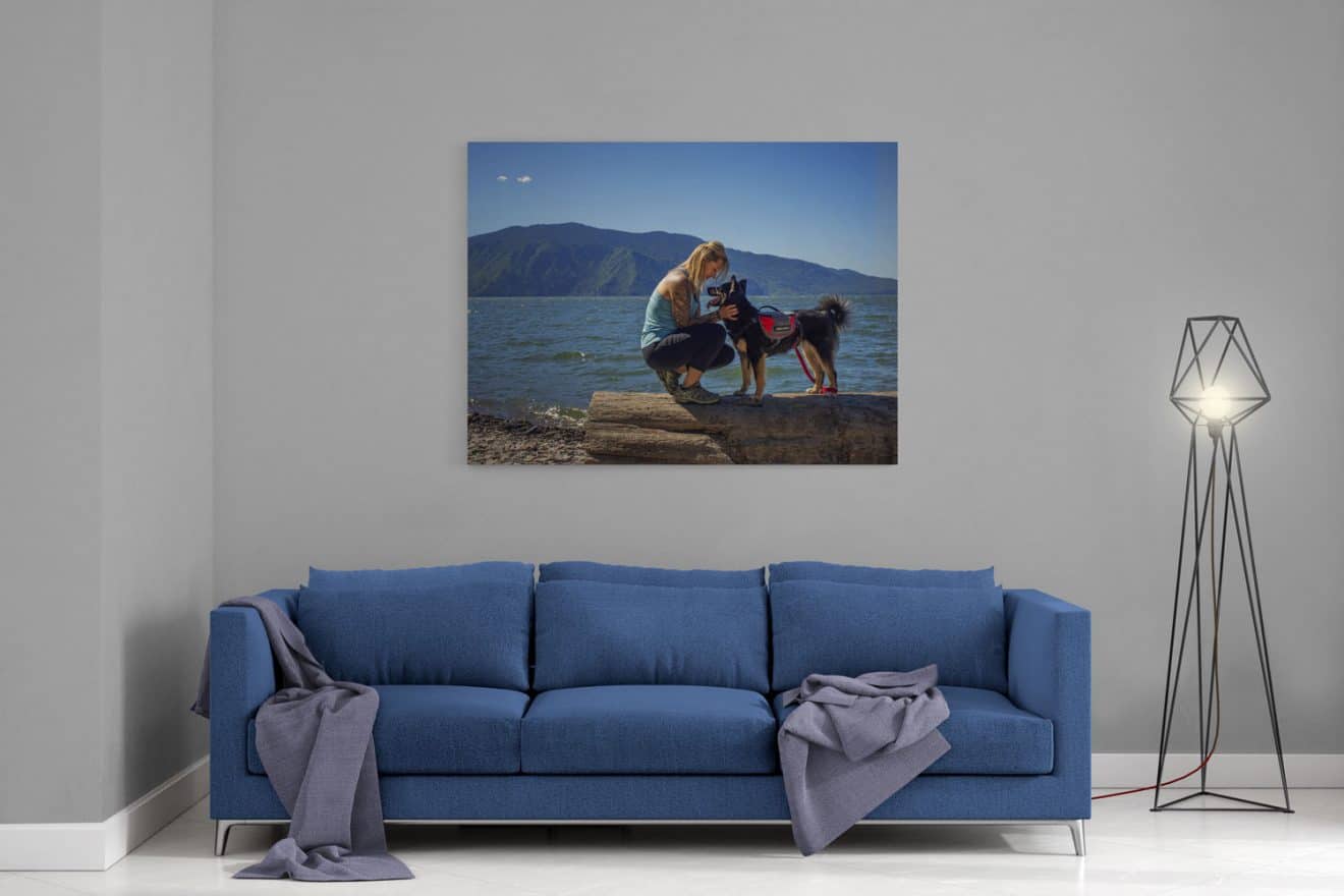 Anthologies: How to turn your dog photos into a story of your adventure